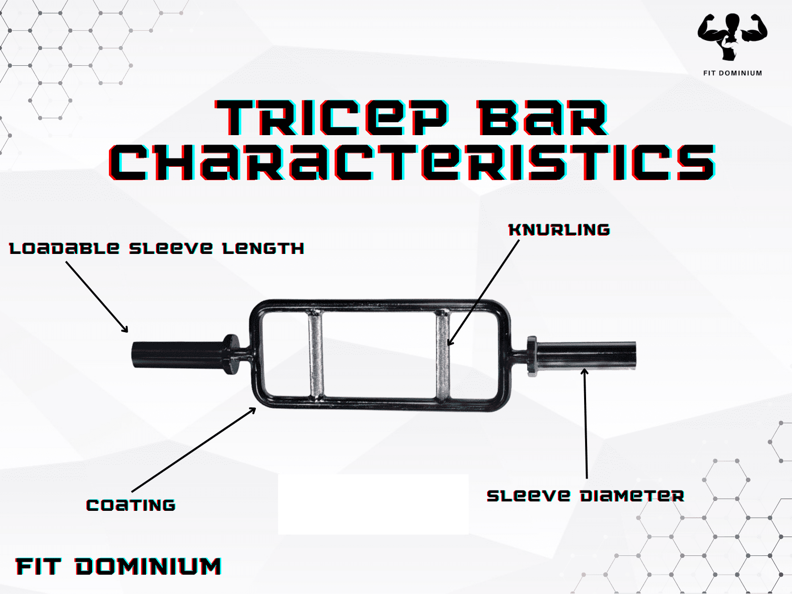 5 Best Tricep Bars [Hammer Curl Bars] | FitDominium