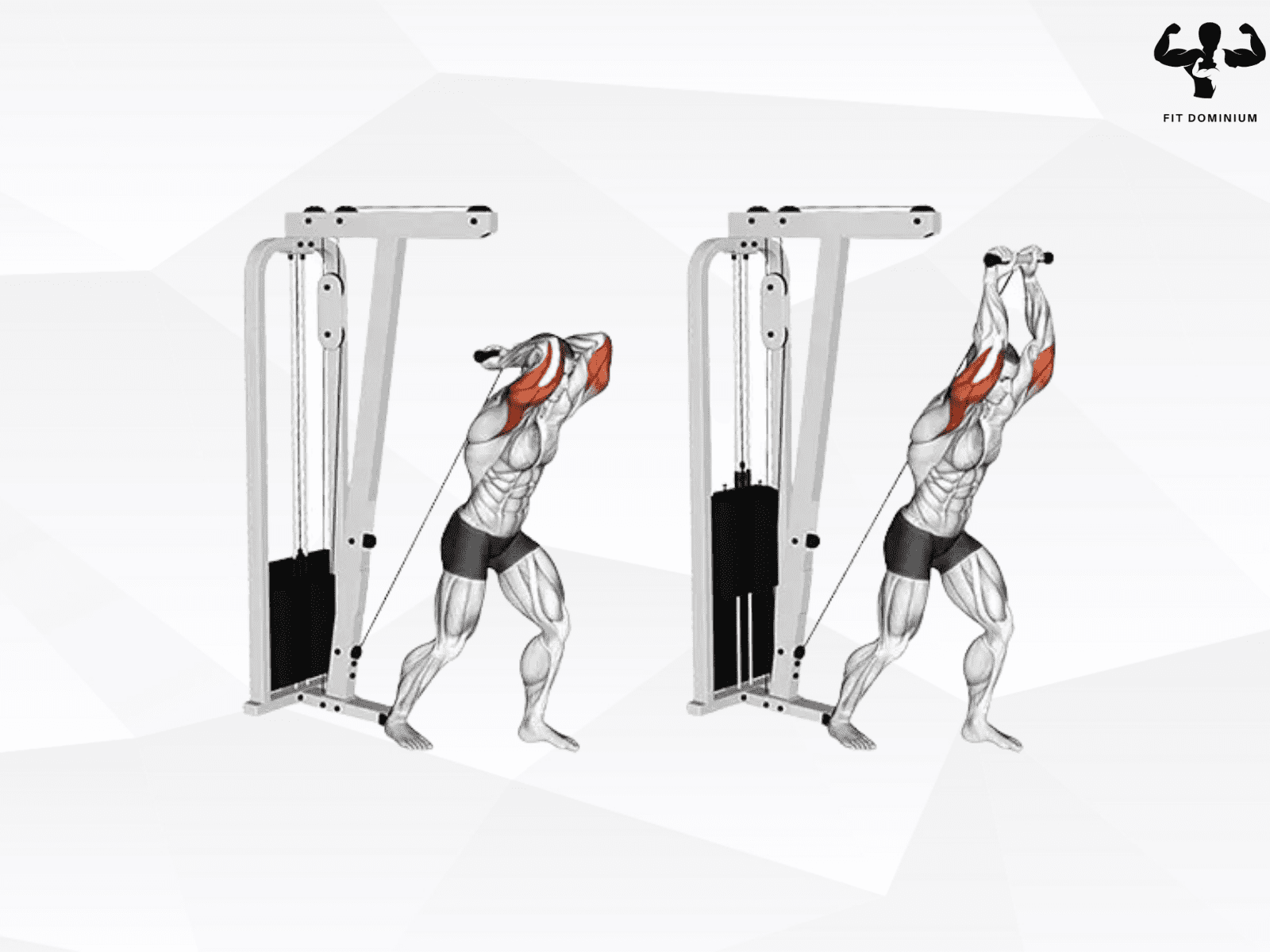 10 Functional Trainer Exercises For Strength With Free PDF FitDominium 10 Functional Trainer Exercises For Strength With Free PDF FitDominium