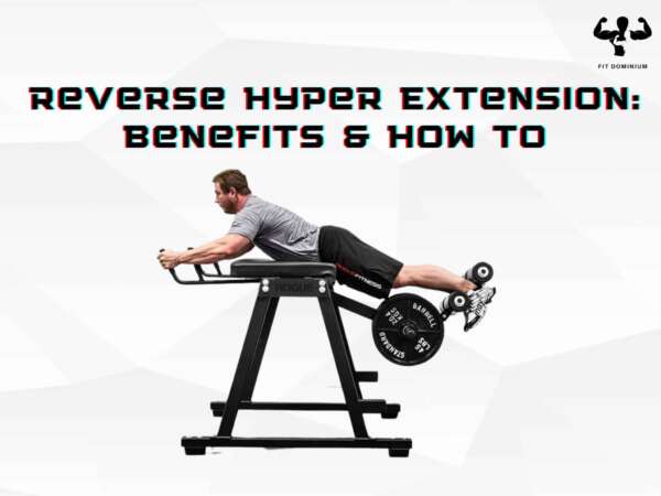 Reverse Hyper Extension Guide: Benefits & How To | FitDominium