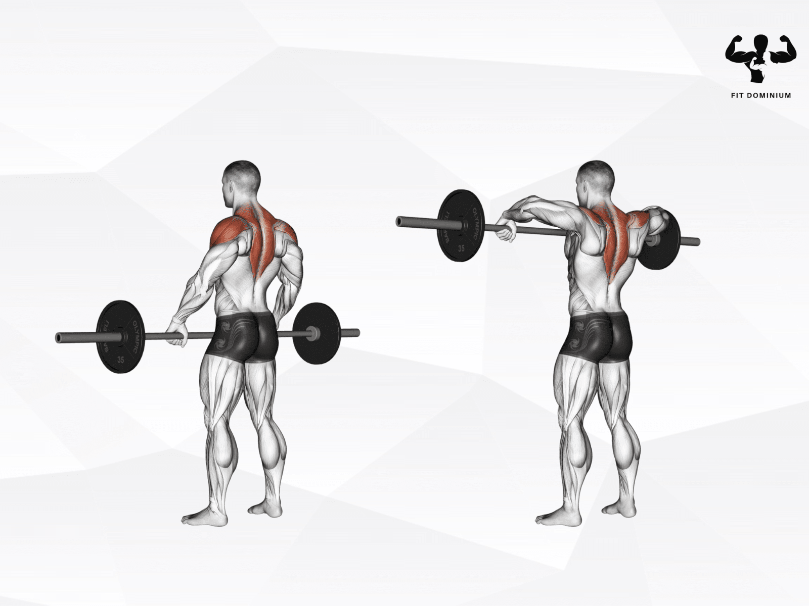 Barbell Upright Row: How To & Benefits – FitDominium