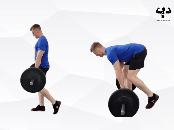Barbell RDL: How To & Benefits | FitDominium