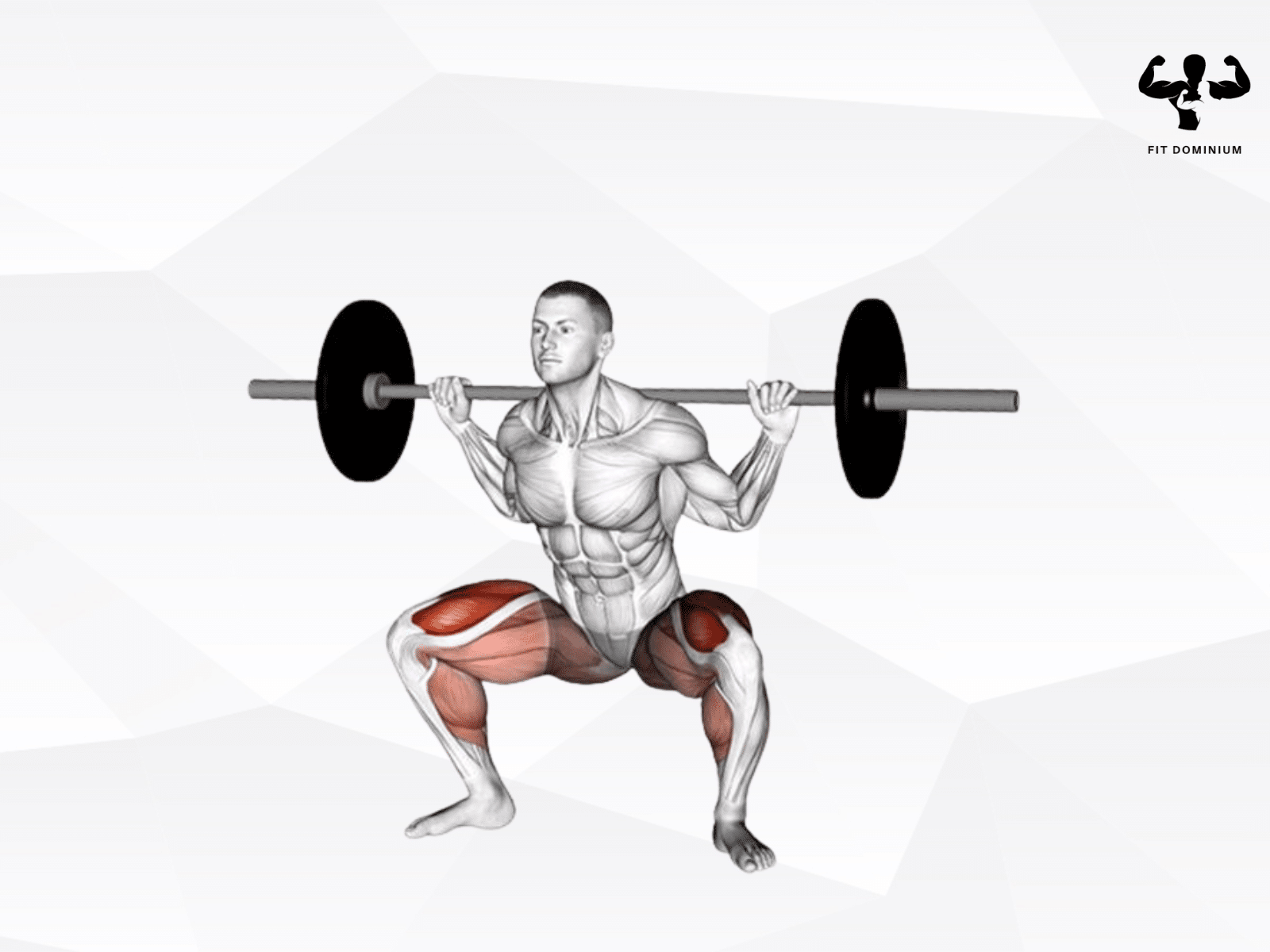 Barbell Squat: How To & Benefits | FitDominium