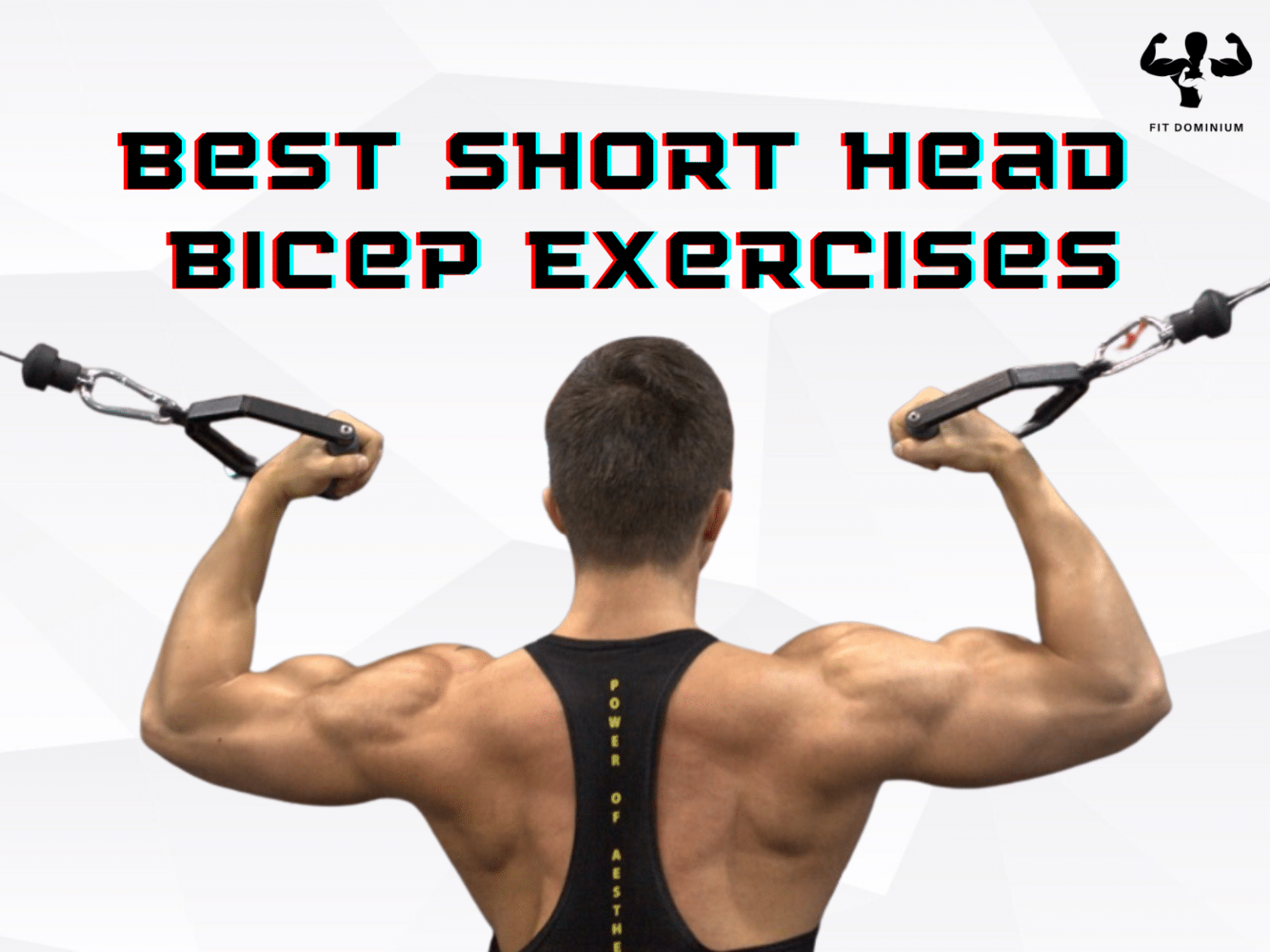 Best Short Head Bicep Exercises For Mountain Peaks | FitDominium