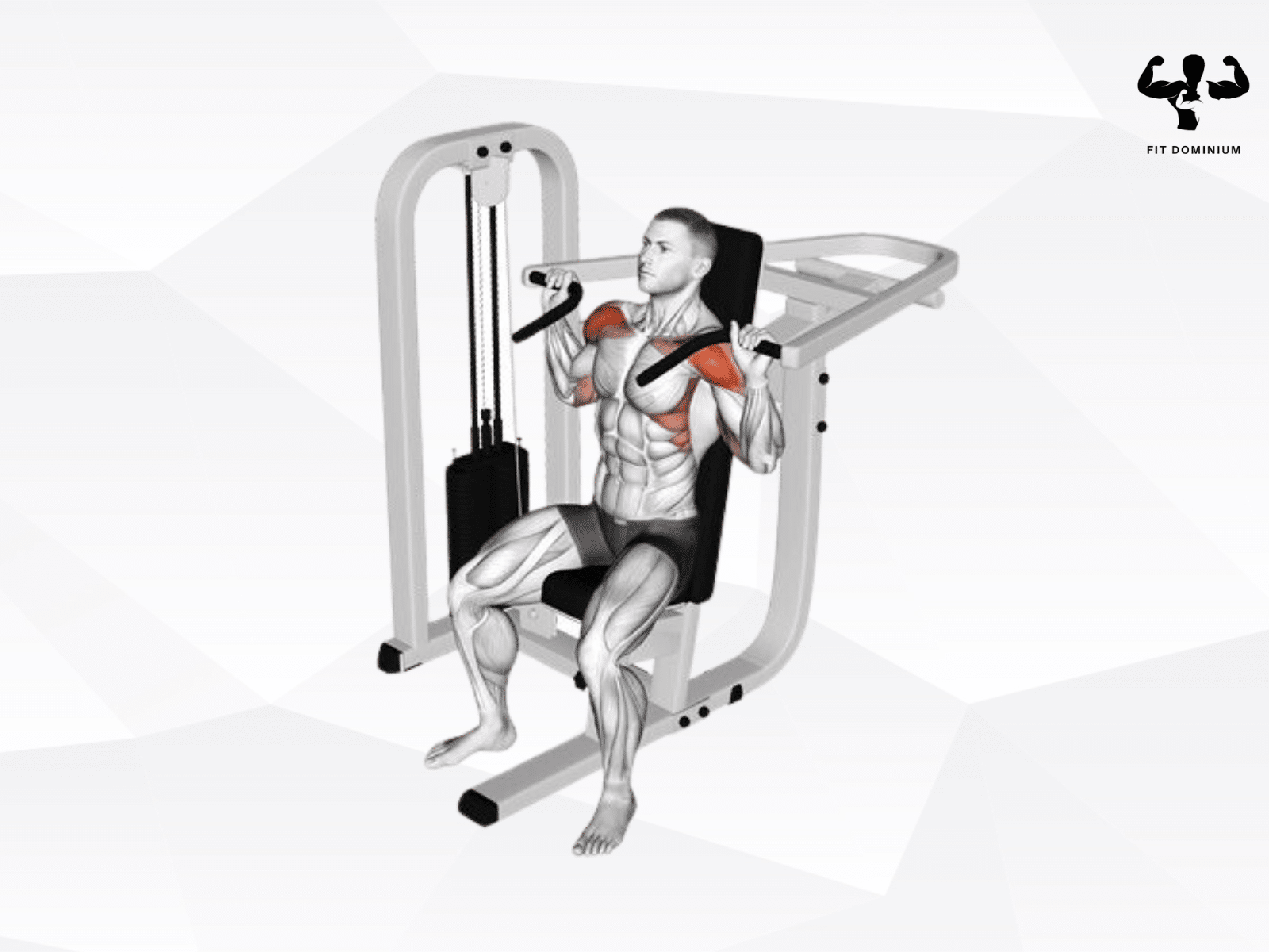 Build Wide Shoulders With These Shoulder Workout Machines – FitDominium